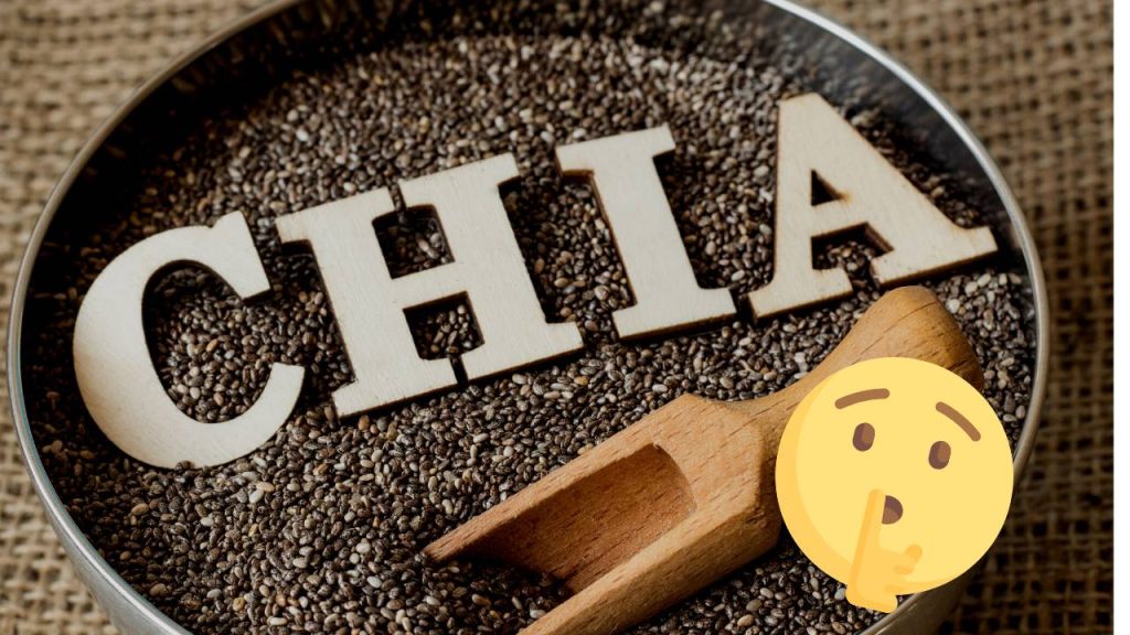USOS SECRETOS para as sementes de chia e seus benefícios