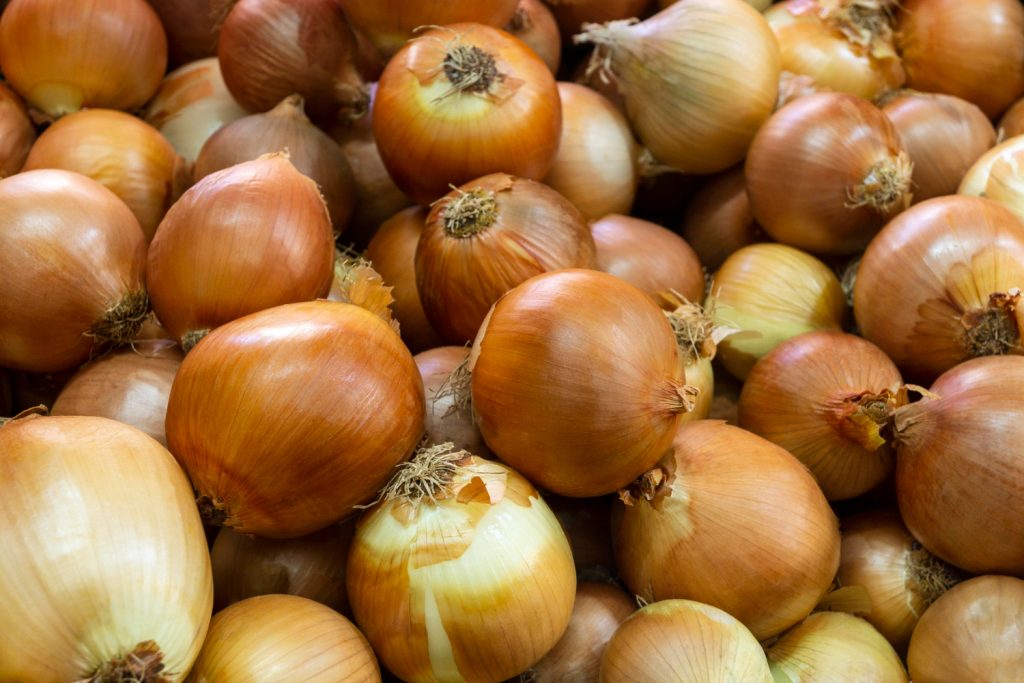 USE a casca da cebola em seu jardim e obtenha resultados INCRÍVEIS ...