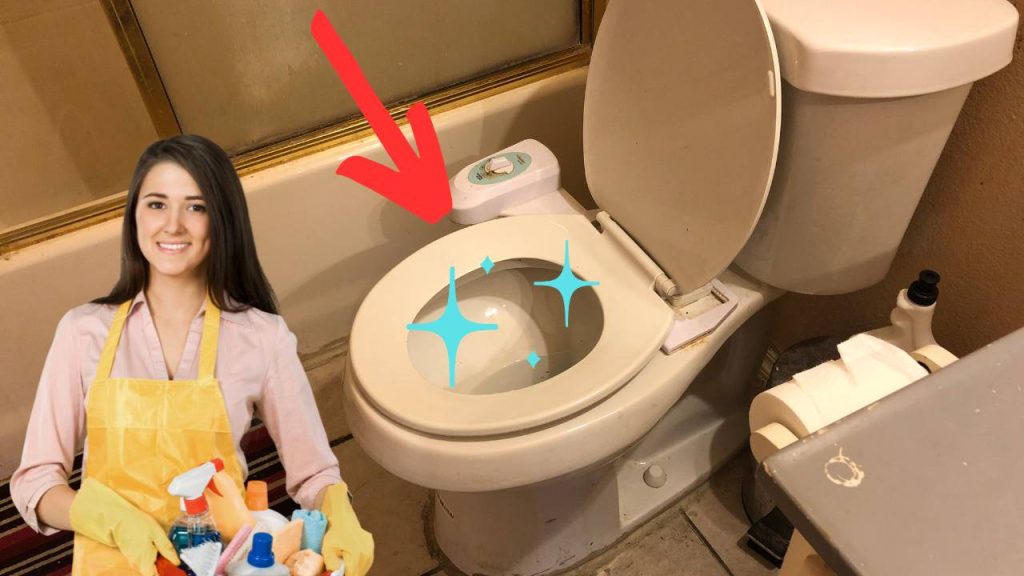 Truque para limpar vaso sanitário com ingrediente INUSITADO